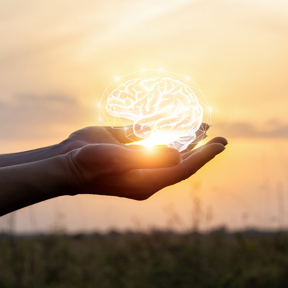 Boost your Brain Health with these Food Groups | Health Partners Group