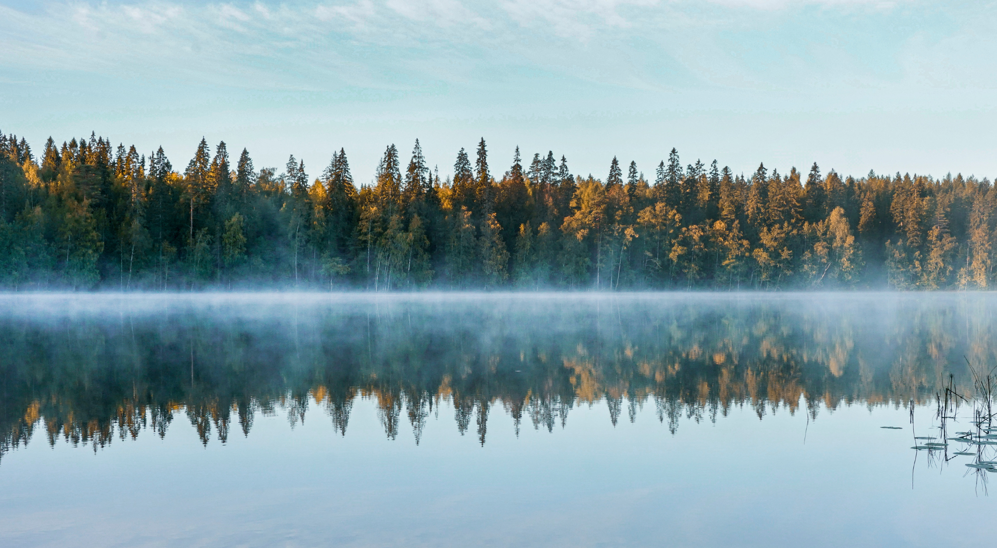 The Science of Stillness | Health Partners Group