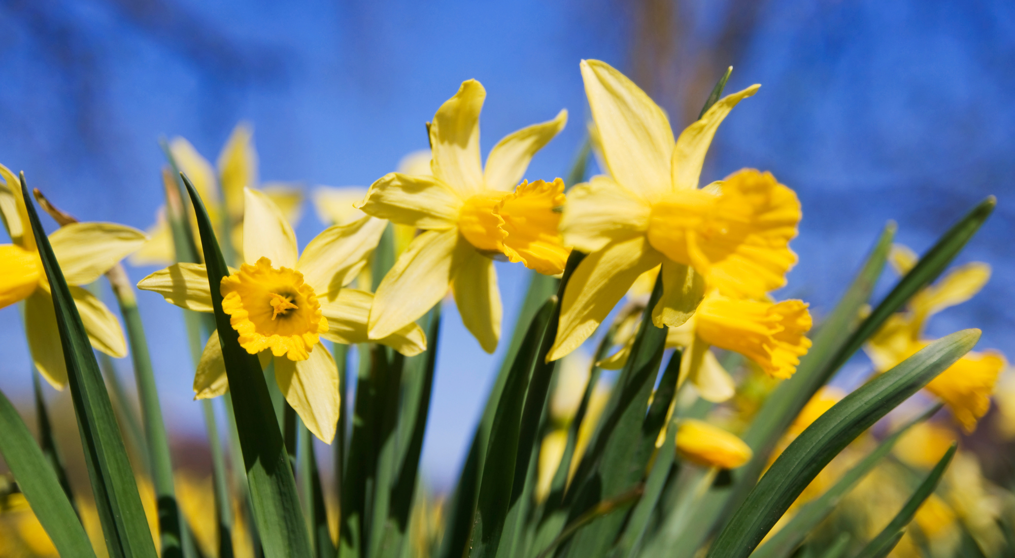 Embracing Wellbeing and Restfulness this Easter | Health Partners Group