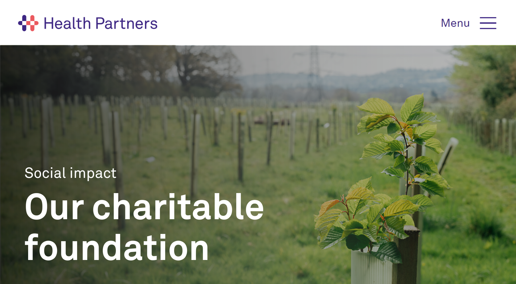 The Health Partners Foundation | Health Partners Group